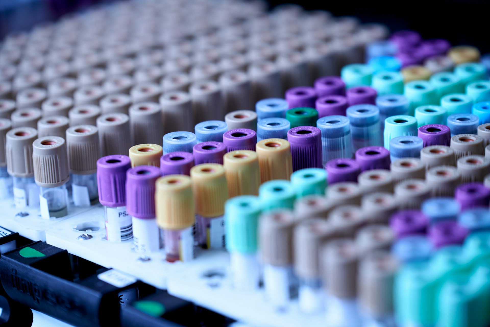 Groundbreaking Study Demonstrates 20-Year Remission in Pemphigus ...